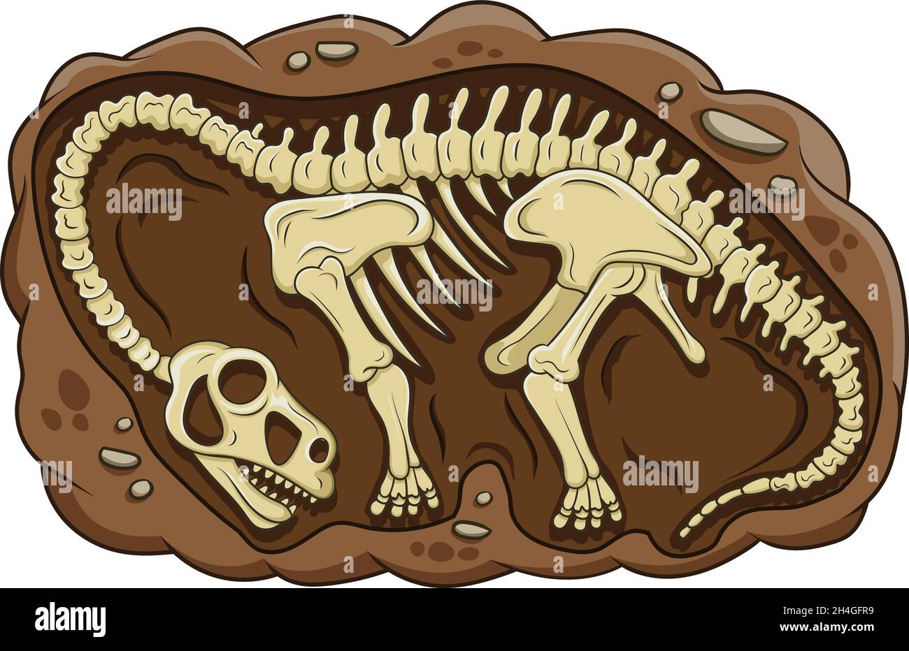 Brontosaurus skeleton Stock Vector Images - Alamy