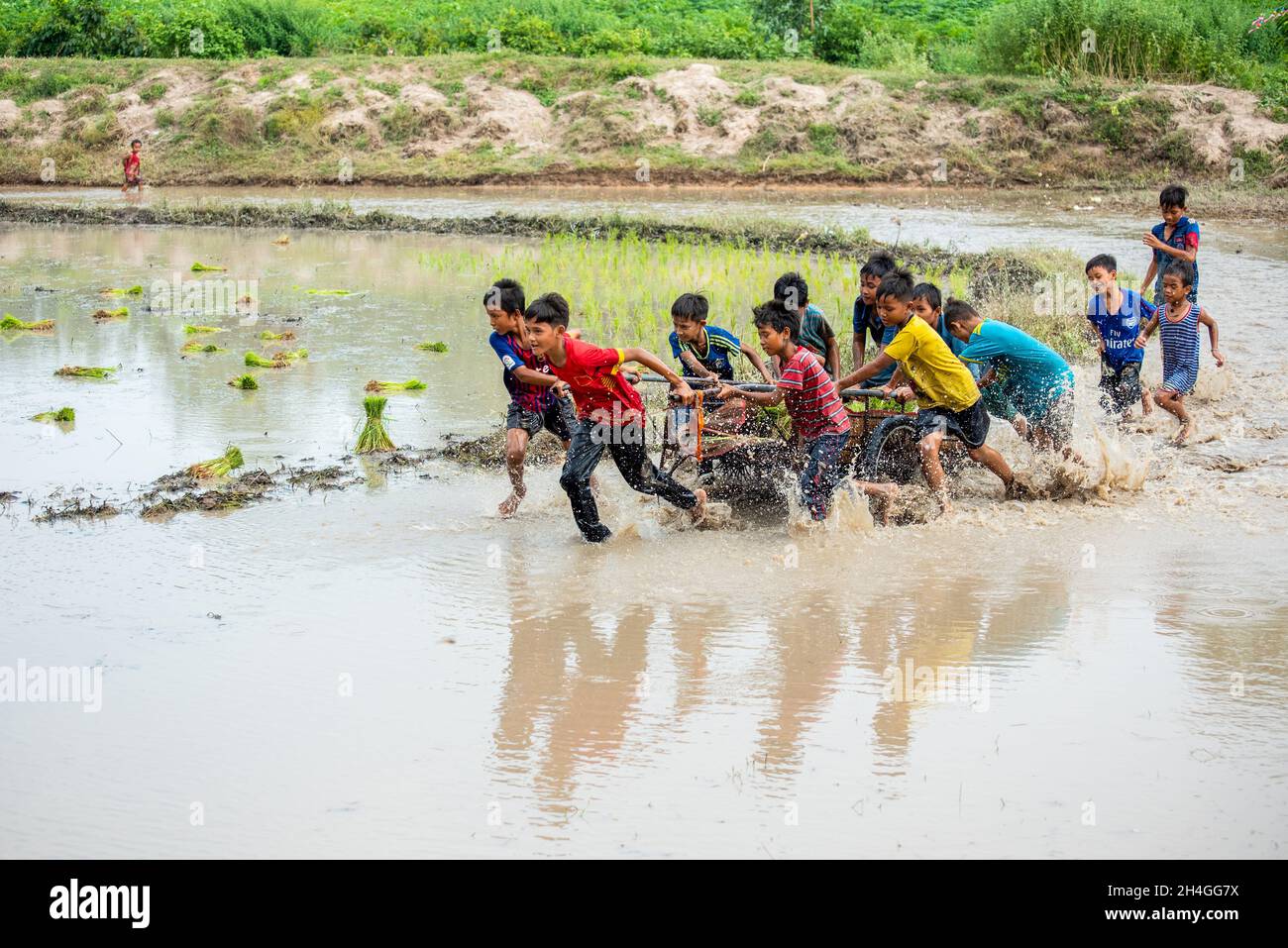 An Giang Sep 21, 2019. Children are playing rice field in the ...