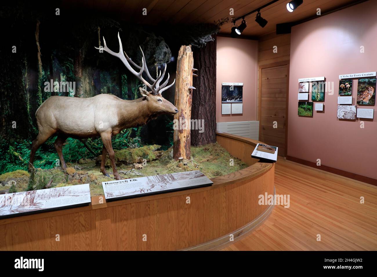 Interior view of the Visitor Center / Wilderness Information Center of ...