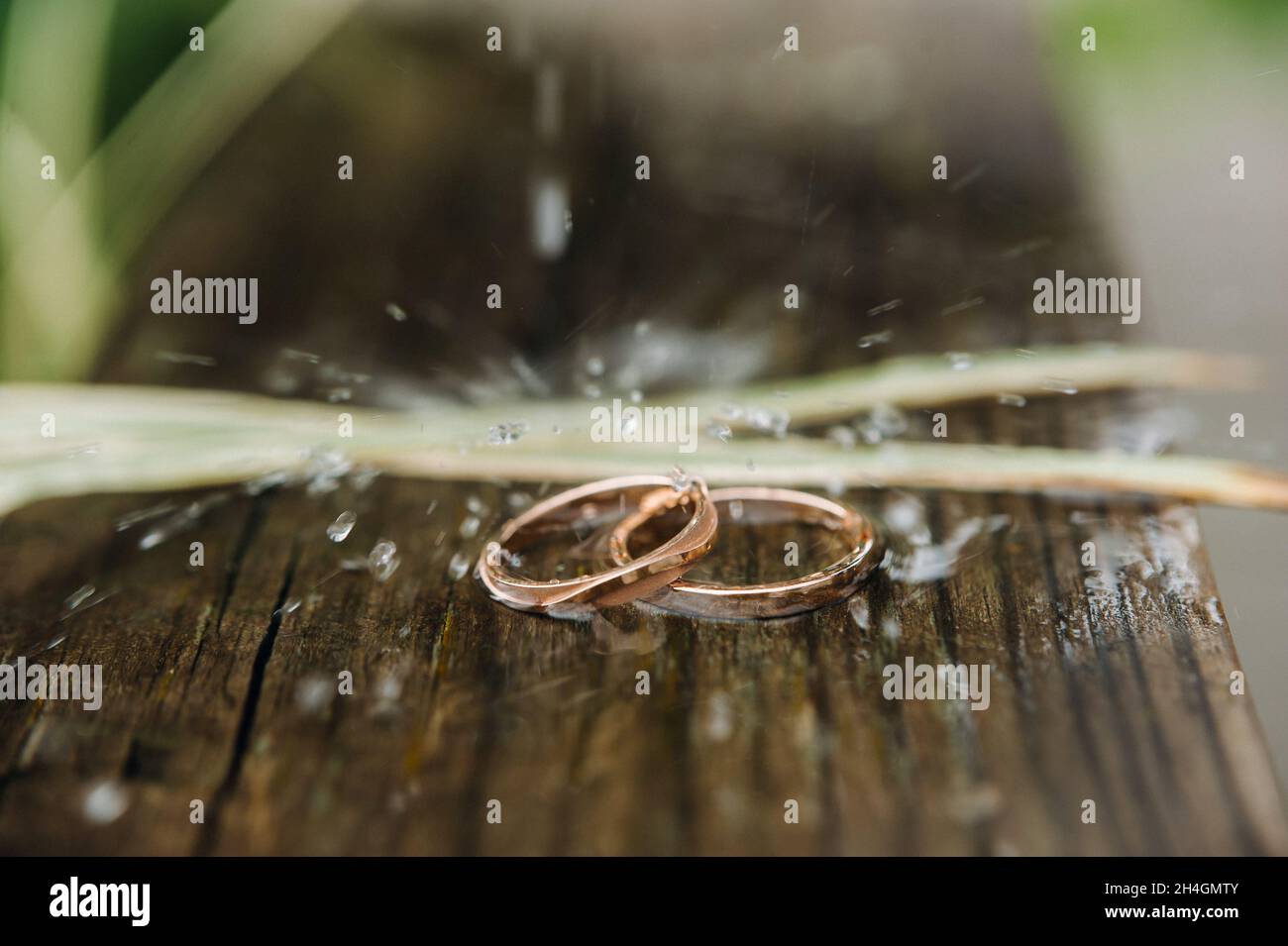 Two Antique Gold Wedding Rings High Resolution Stock Photography and ...