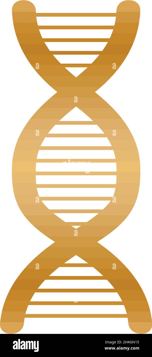 golden dna strand on white background Stock Vector Image & Art - Alamy