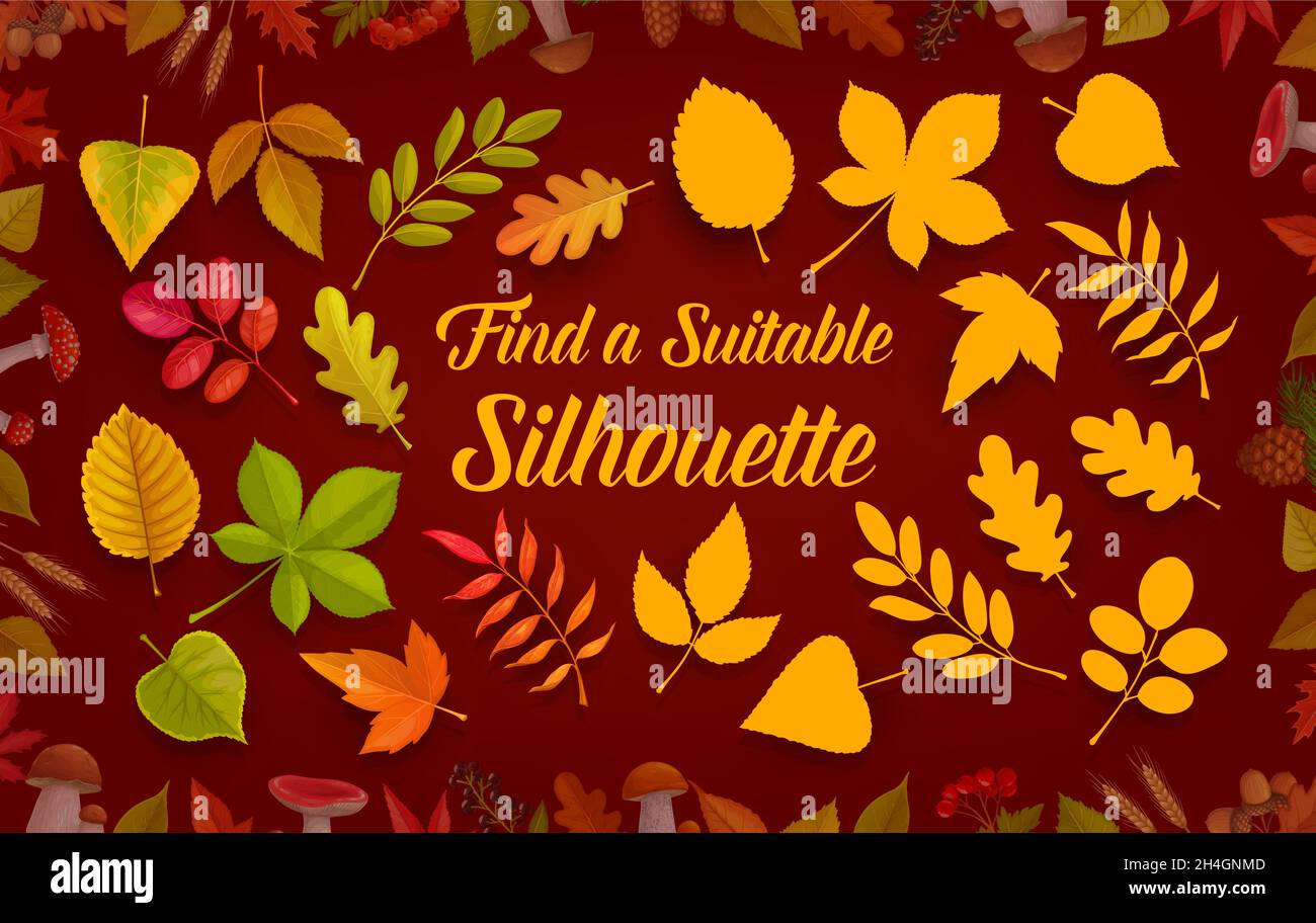 Kids game worksheet find suitable silhouette of autumn leaves, leaf ...