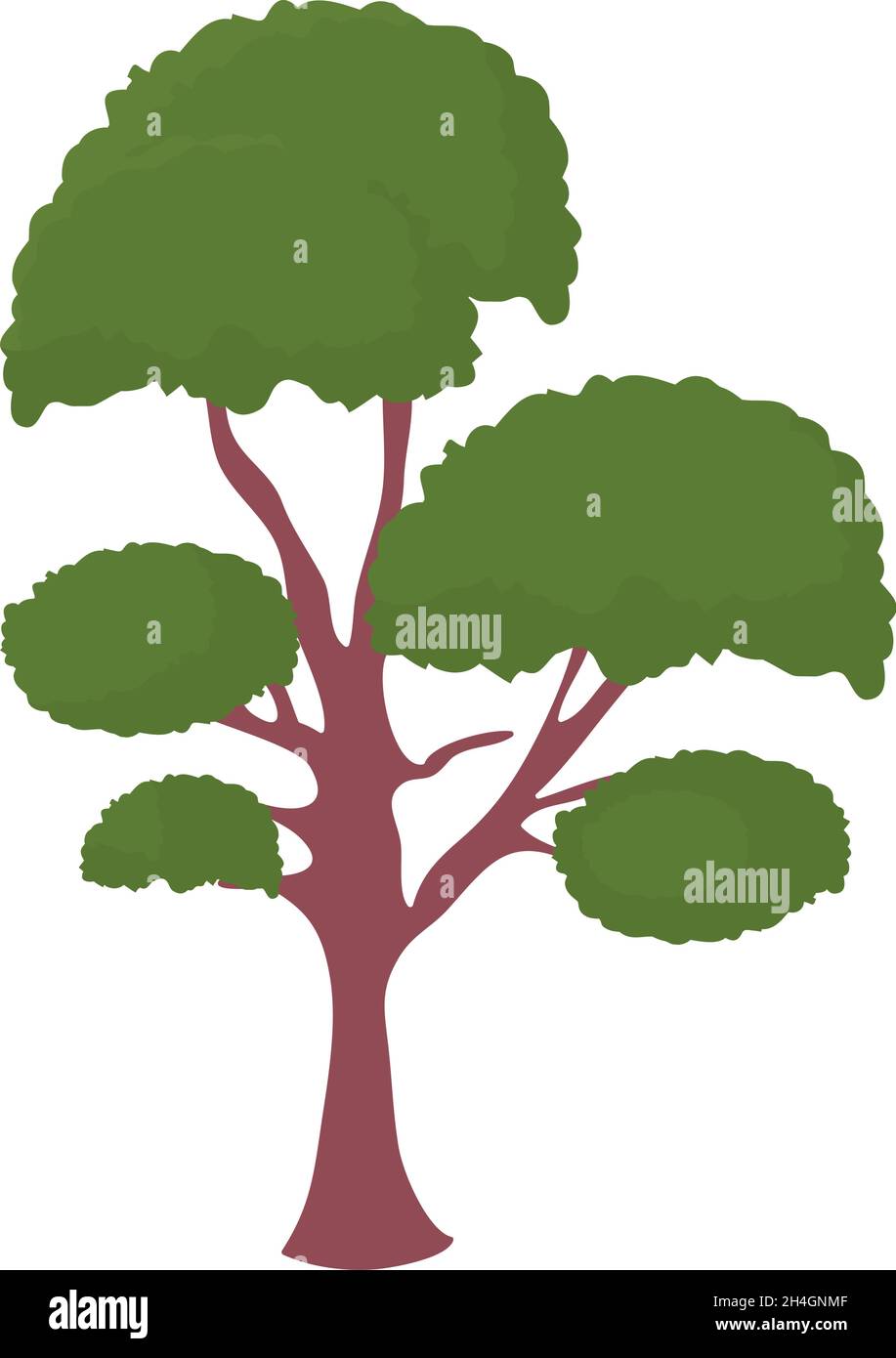 green tall tree icon on white background Stock Vector Image & Art - Alamy