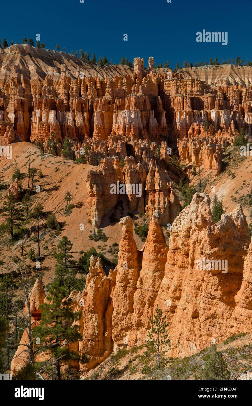 Bryce Canyon National Park, Utah Stock Photo - Alamy