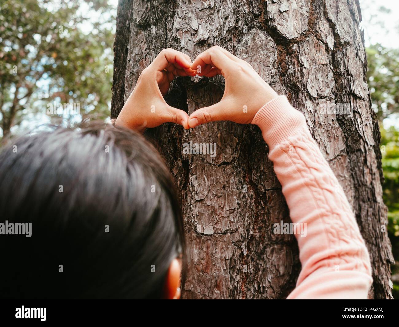 Female hands forming a heart shape on a big tree. Protection and love ...
