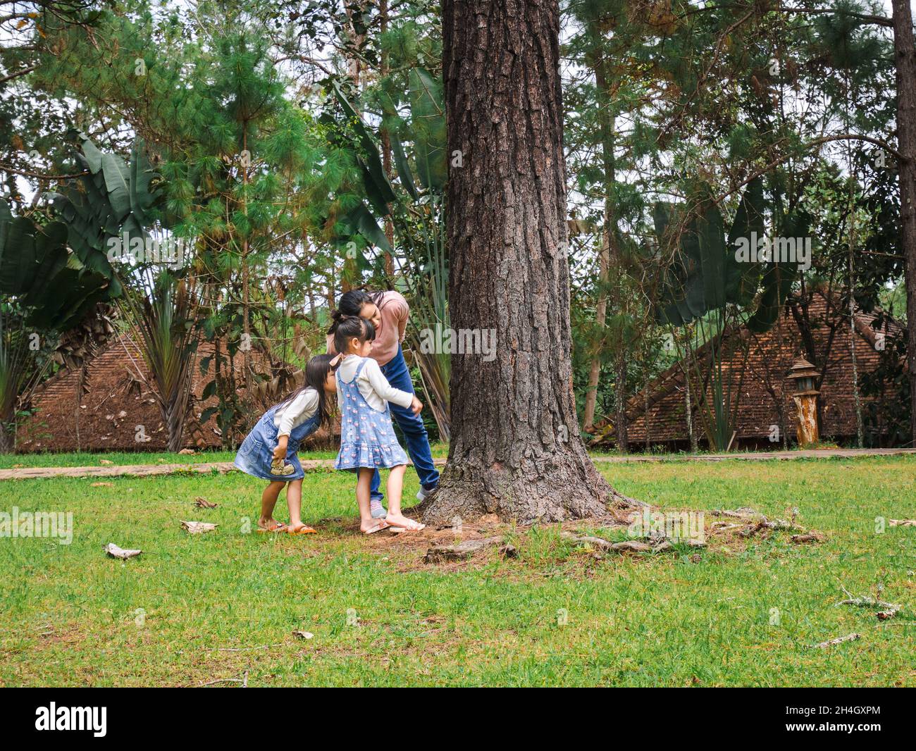 Mother and daughters exploring nature on a big tree in the morning ...