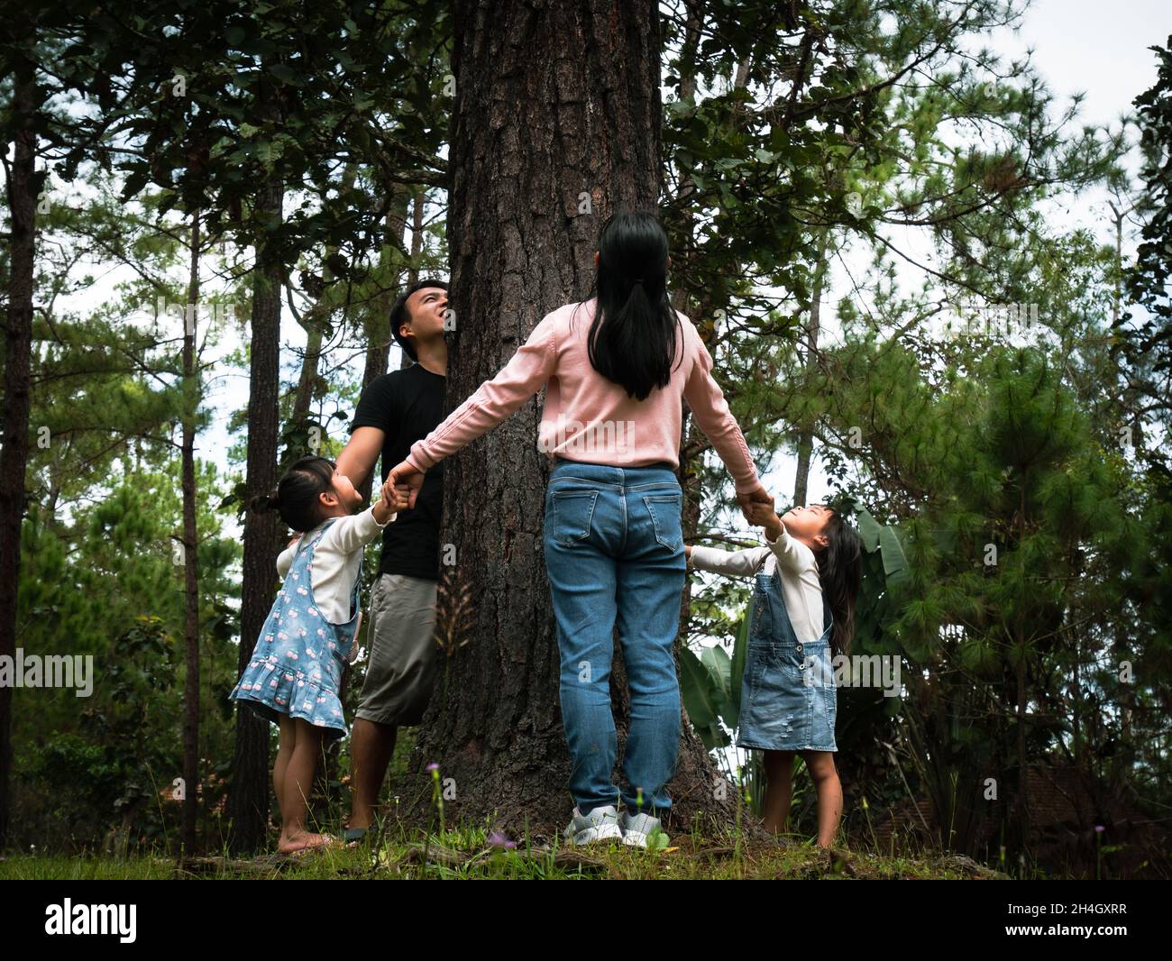 Happy families stand holding each other's hands around a large tree ...