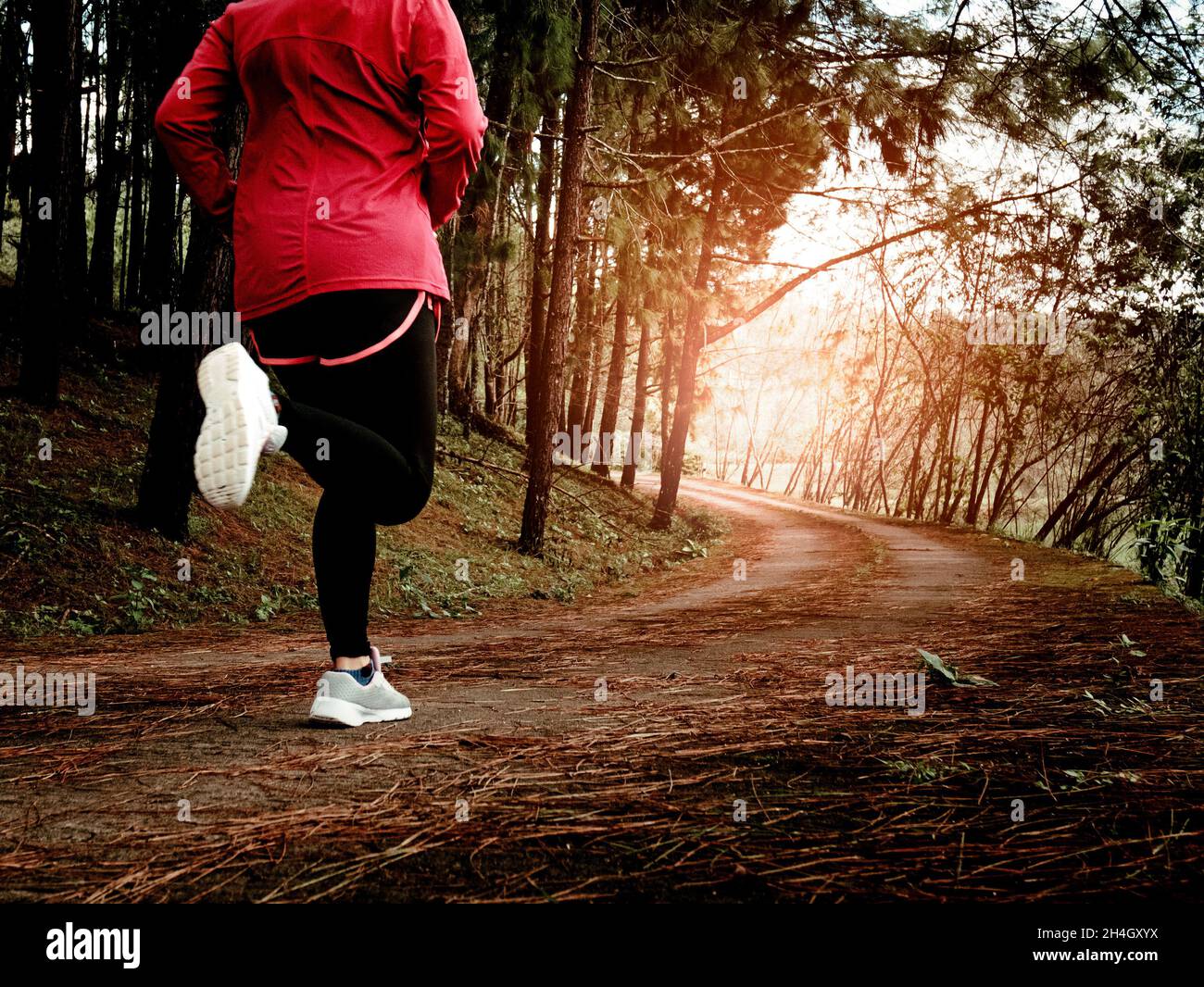 Athletic woman running on forest trail. Female runners running in ...
