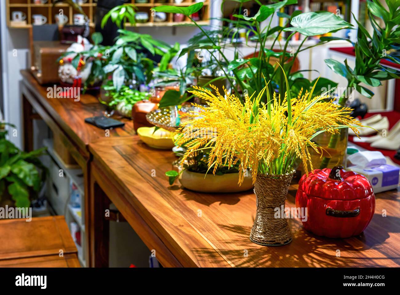 Plants and fake rice decorations on the desktop of a Chinese office ...