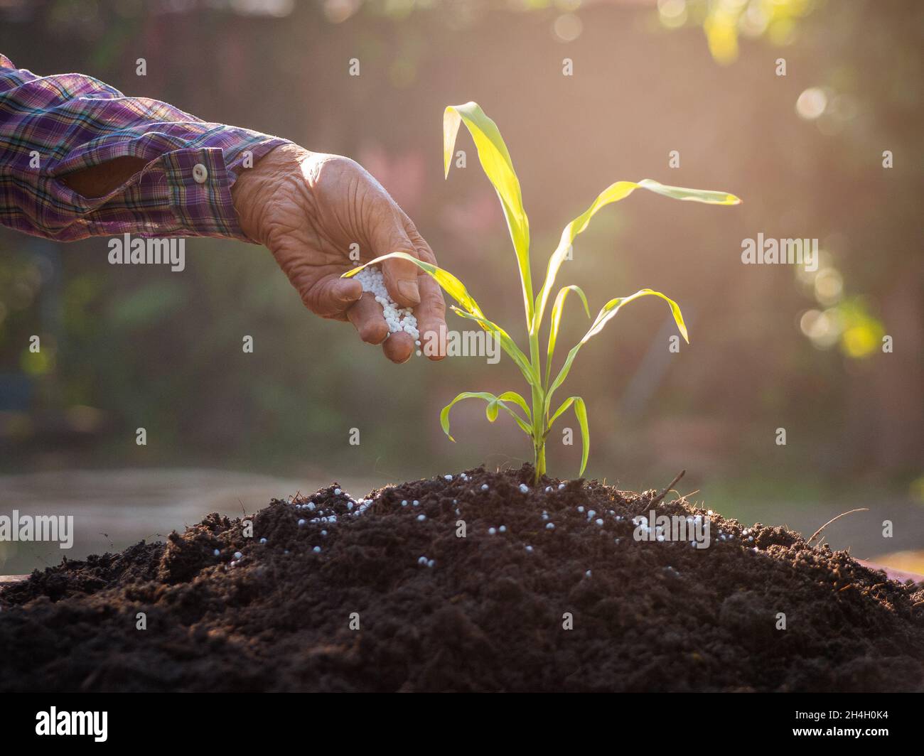 Fertilizer plant hi-res stock photography and images - Alamy