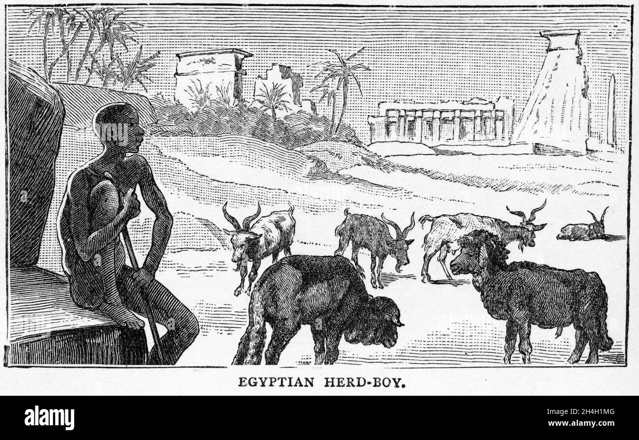 Engraving of an Egyptian herd boy with his herd of goats, from a ...