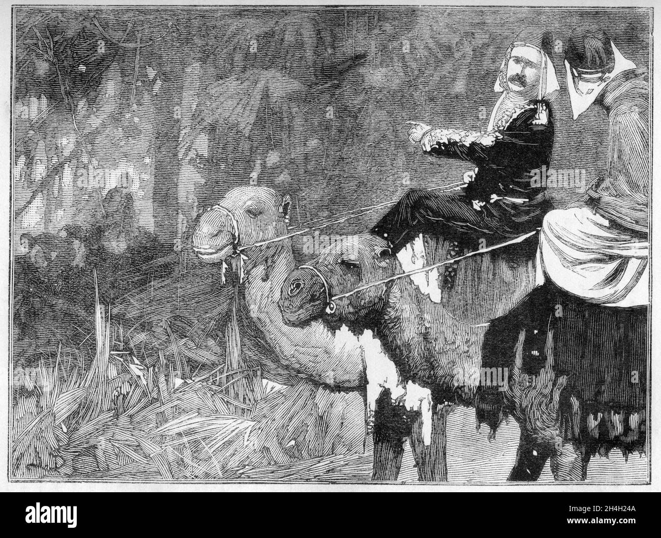Riding colonial Black and White Stock Photos & Images - Alamy