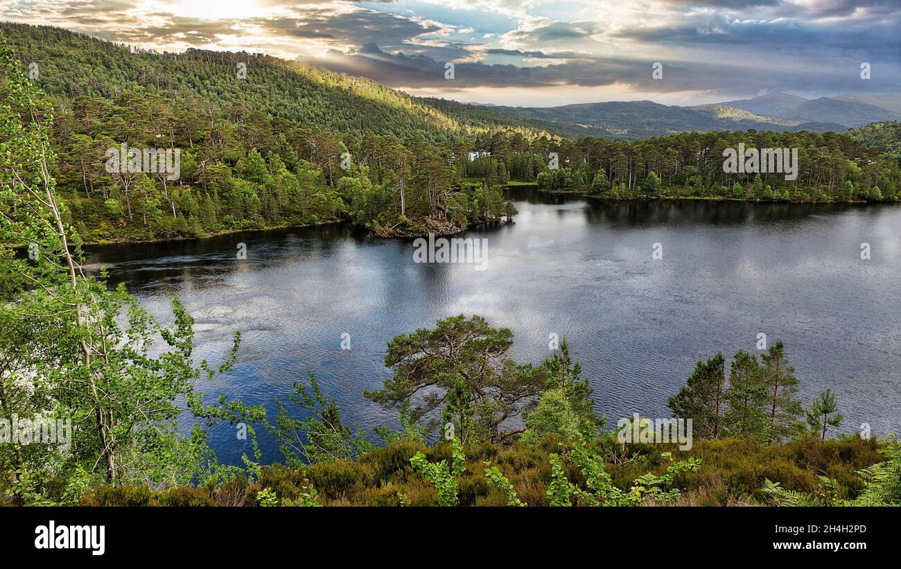 Glen Affric Nature Reserve, River Affric, Highlands, Scotland, United ...