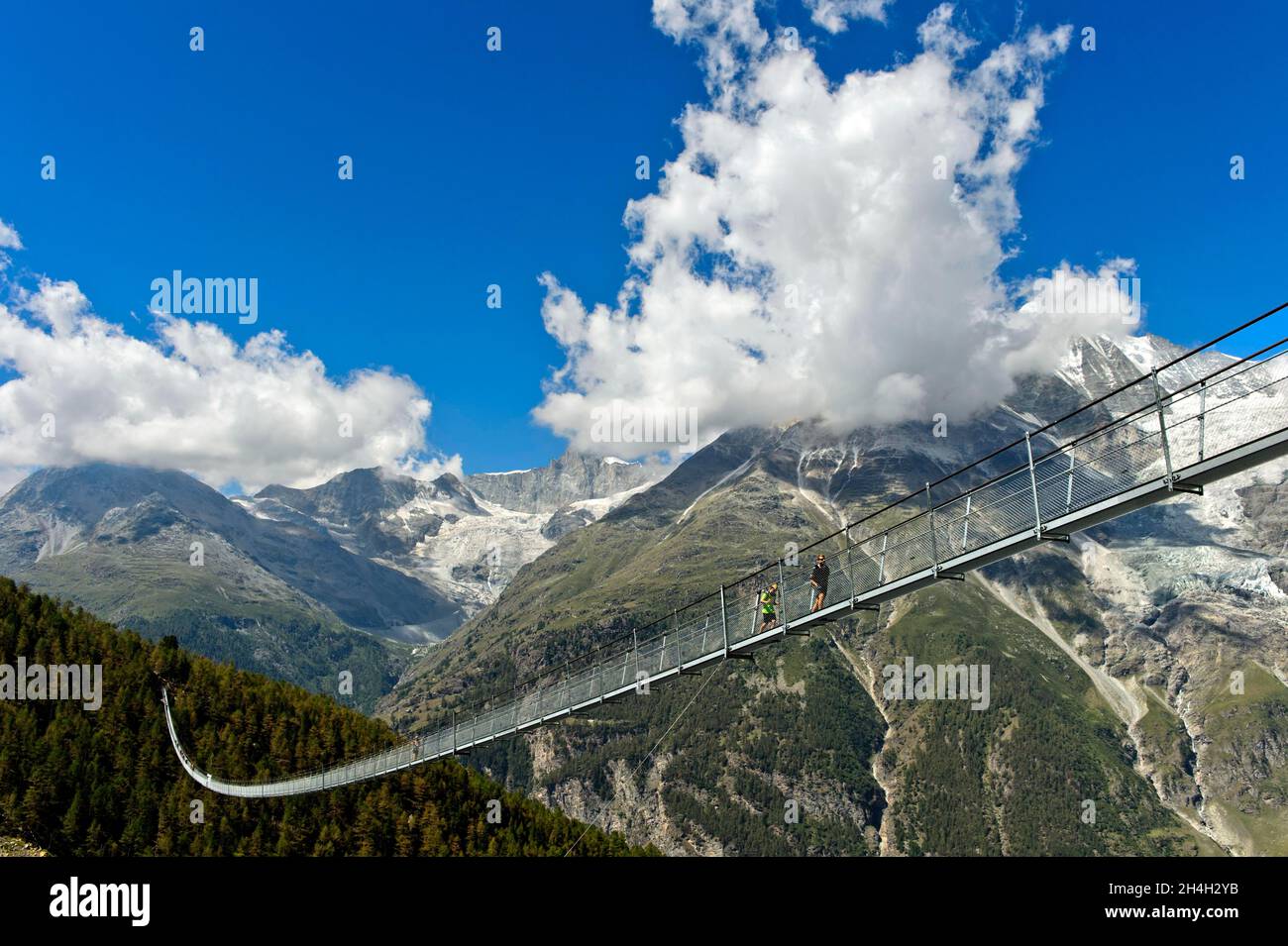Charles Kuonen Suspension Bridge, the longest pedestrian suspension ...