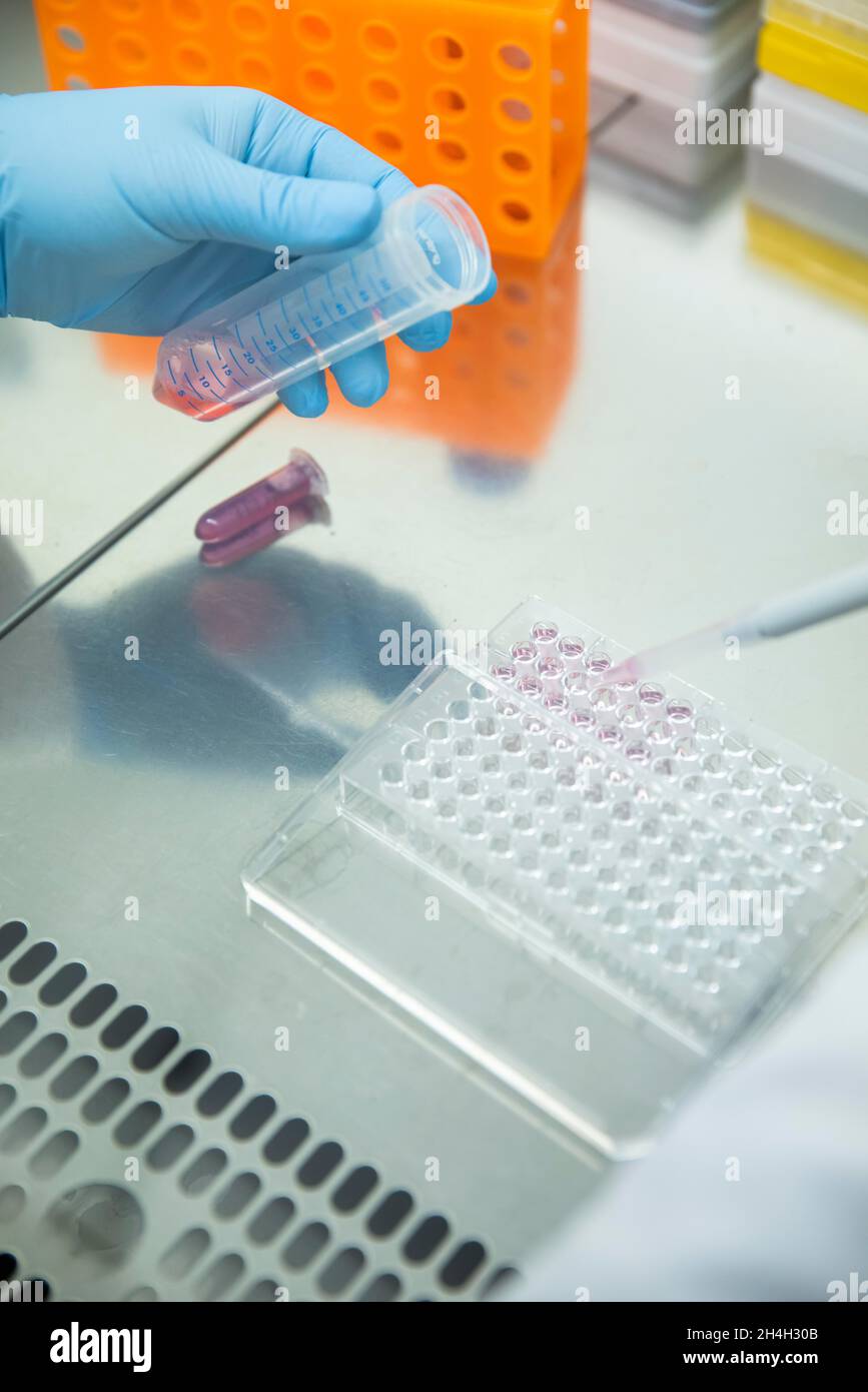 Capillary tray hi-res stock photography and images - Alamy