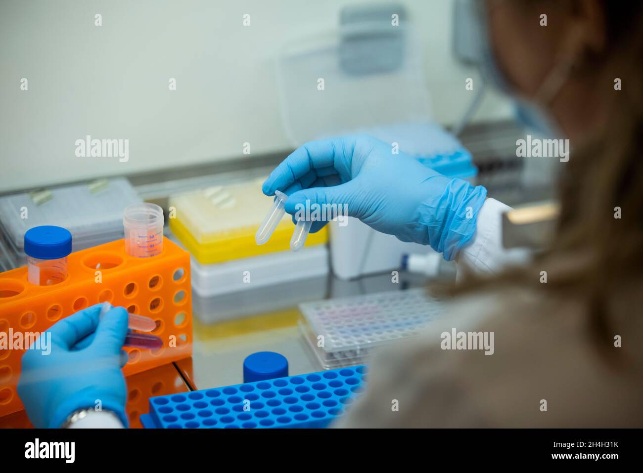 Medical laboratory assistant holding reaction vessels with samples ...