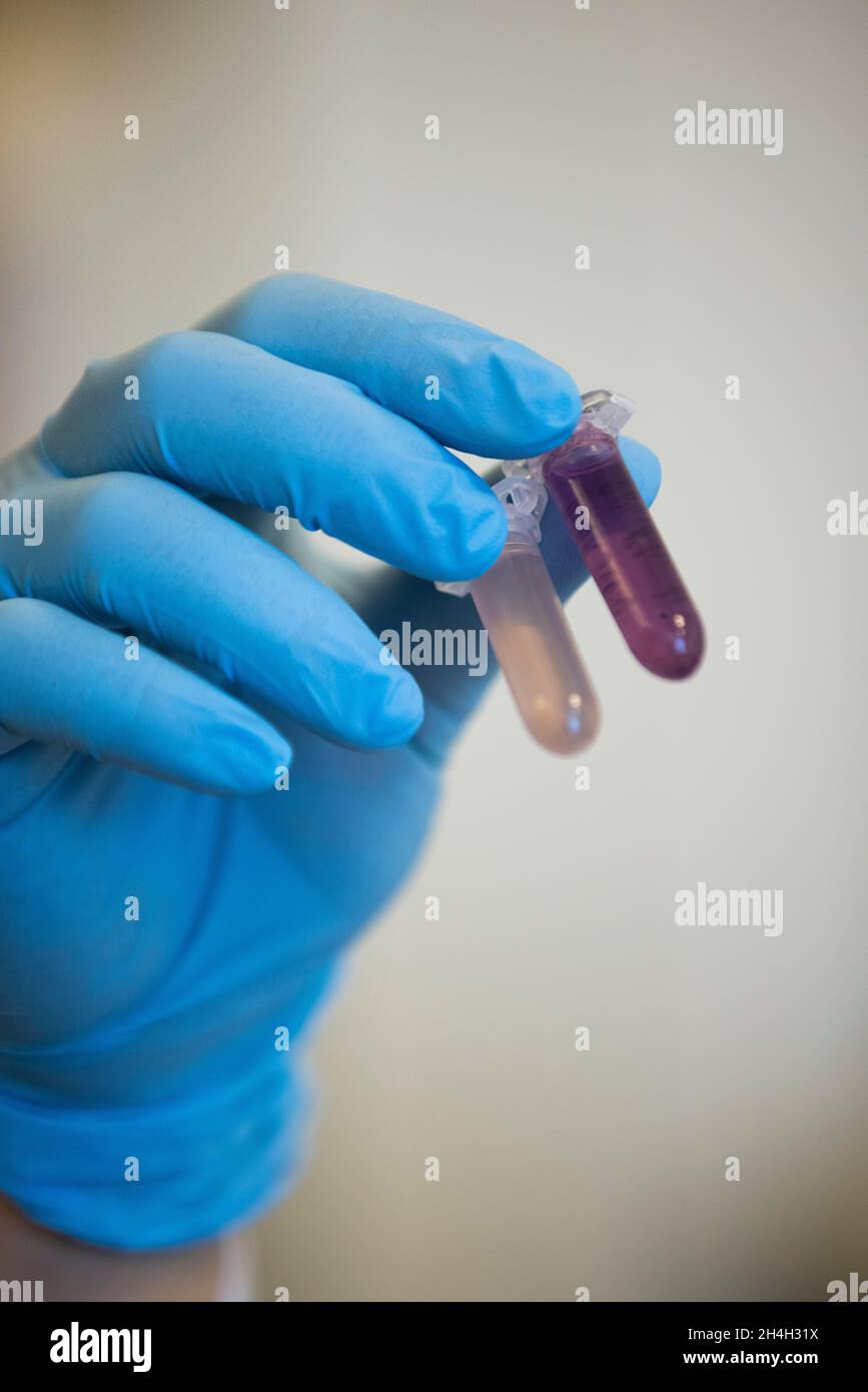 Laboratory vessels hi-res stock photography and images - Alamy