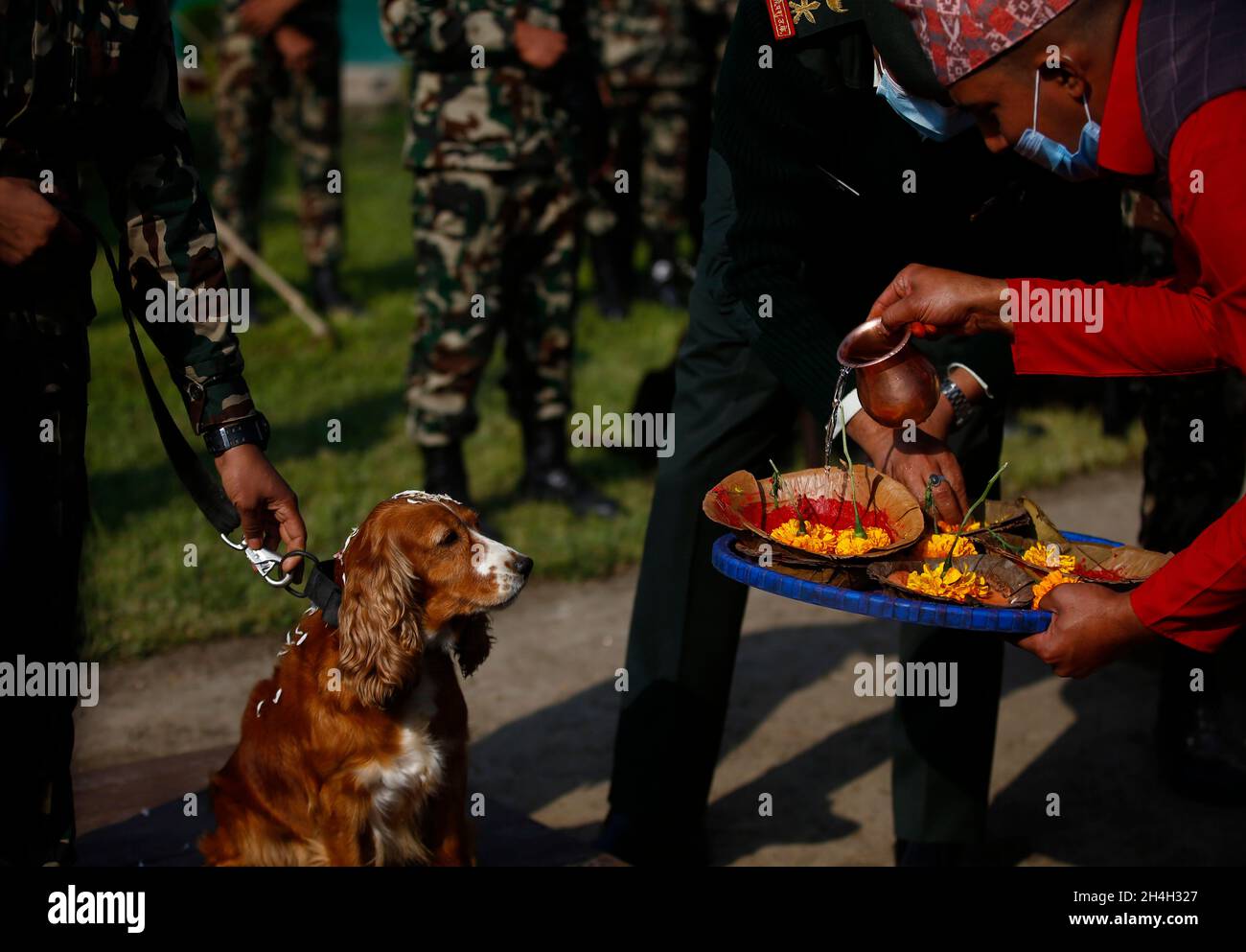 Bhaktapur, Nepal. 3rd Nov, 2021. A Nepalese Army Priest worships a dog ...