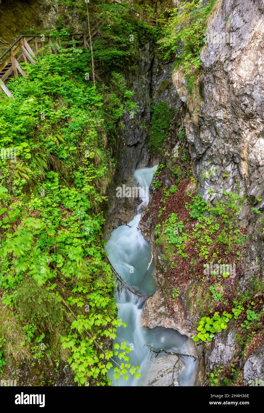 Mountain stream flowing through a narrow gorge, gorge with river ...