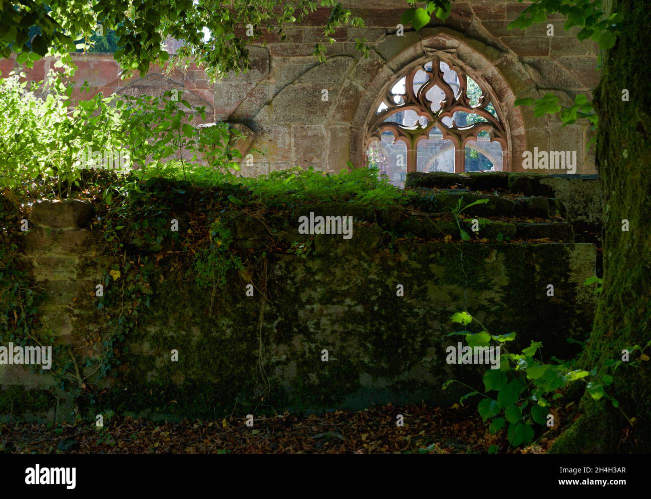 Former monastery complex of St. Peter and Paul, Hirsau Monastery, Black ...
