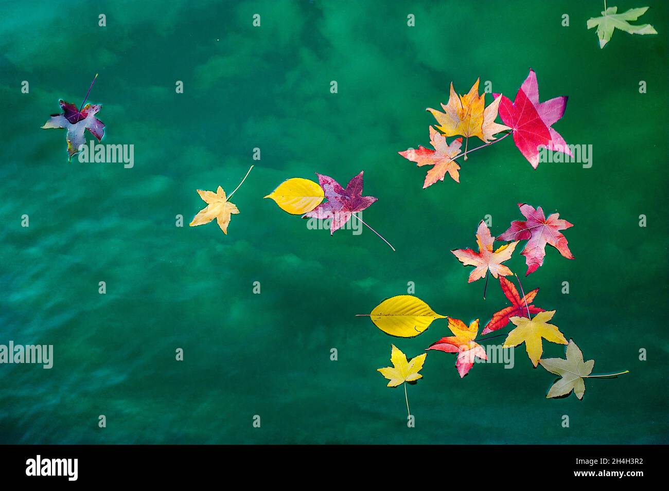 Tempo river hi-res stock photography and images - Alamy