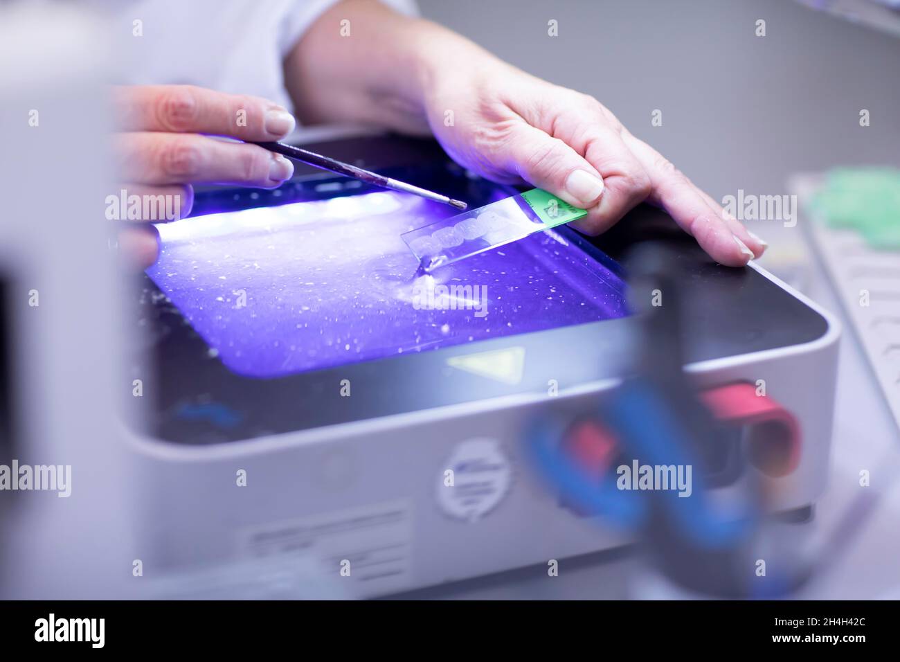 Processing of samples in a histology laboratory, Freiburg, Baden ...