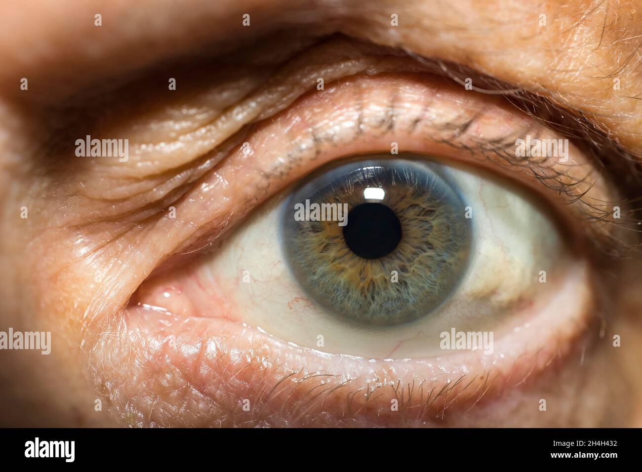 Close-up of a male eye Stock Photo - Alamy