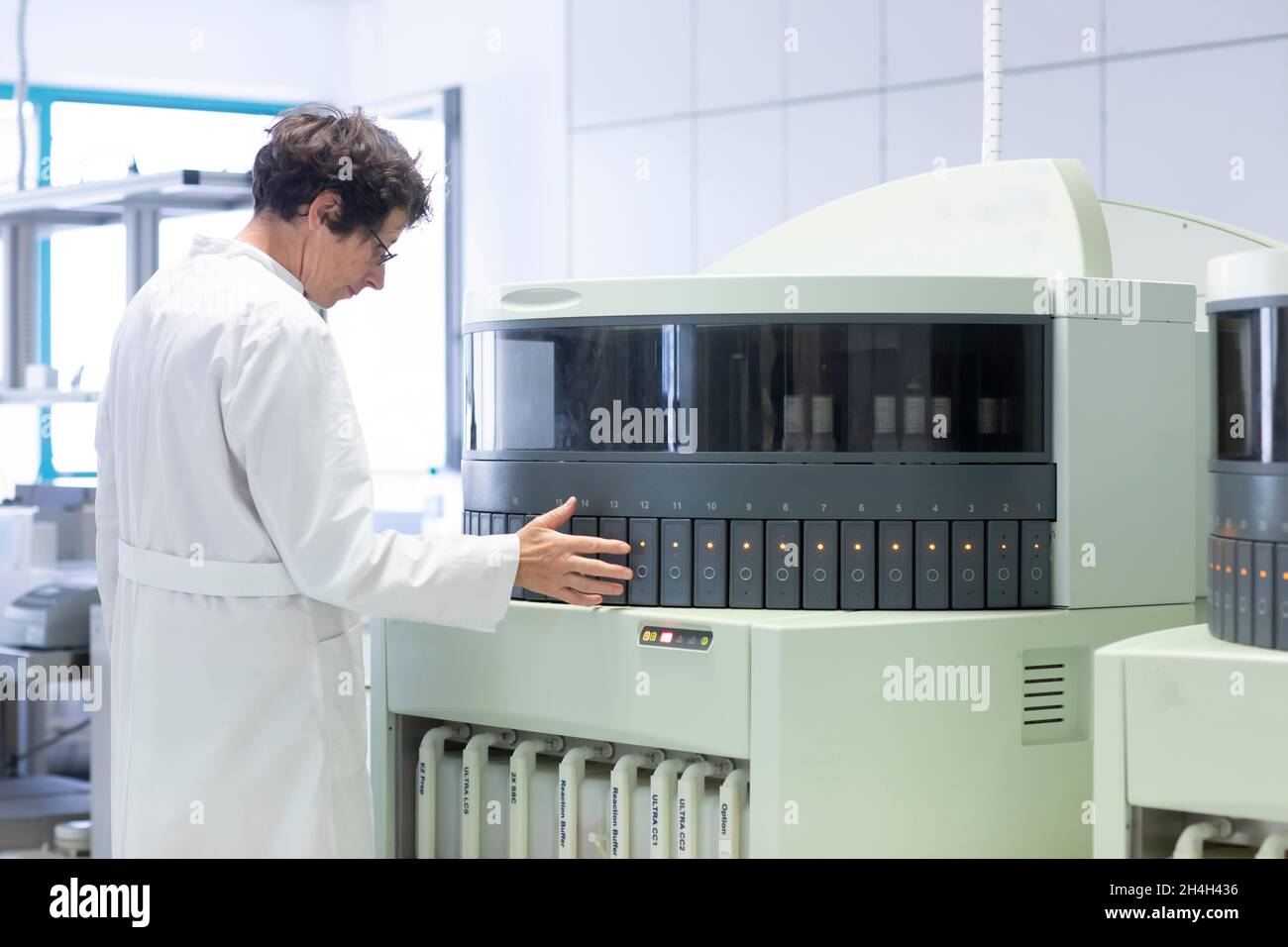Technician processing samples with laboratory equipment in a histology ...