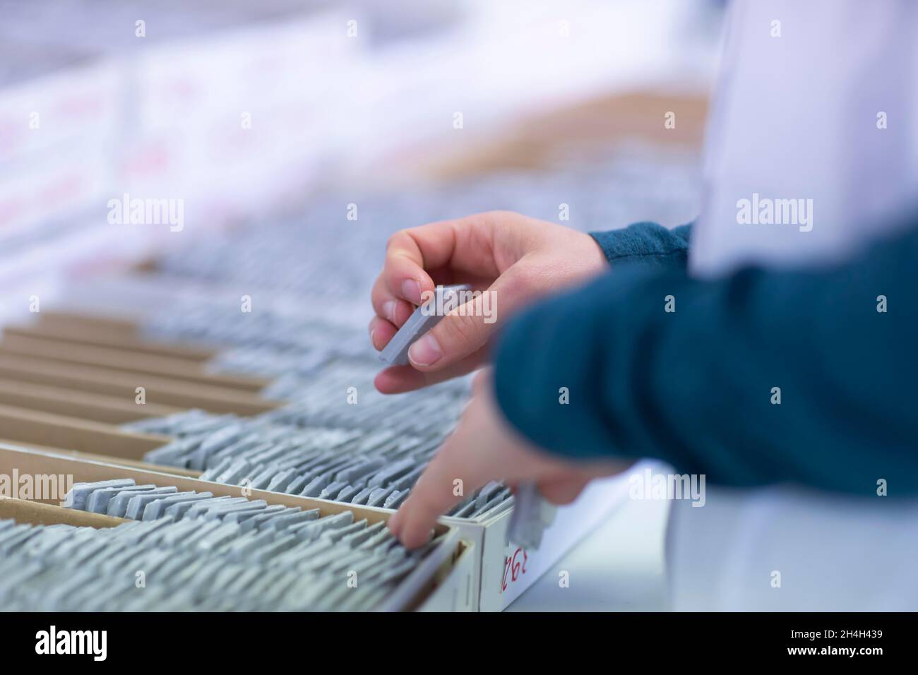 Sample storage and sorting in a histology laboratory, Freiburg, Baden ...