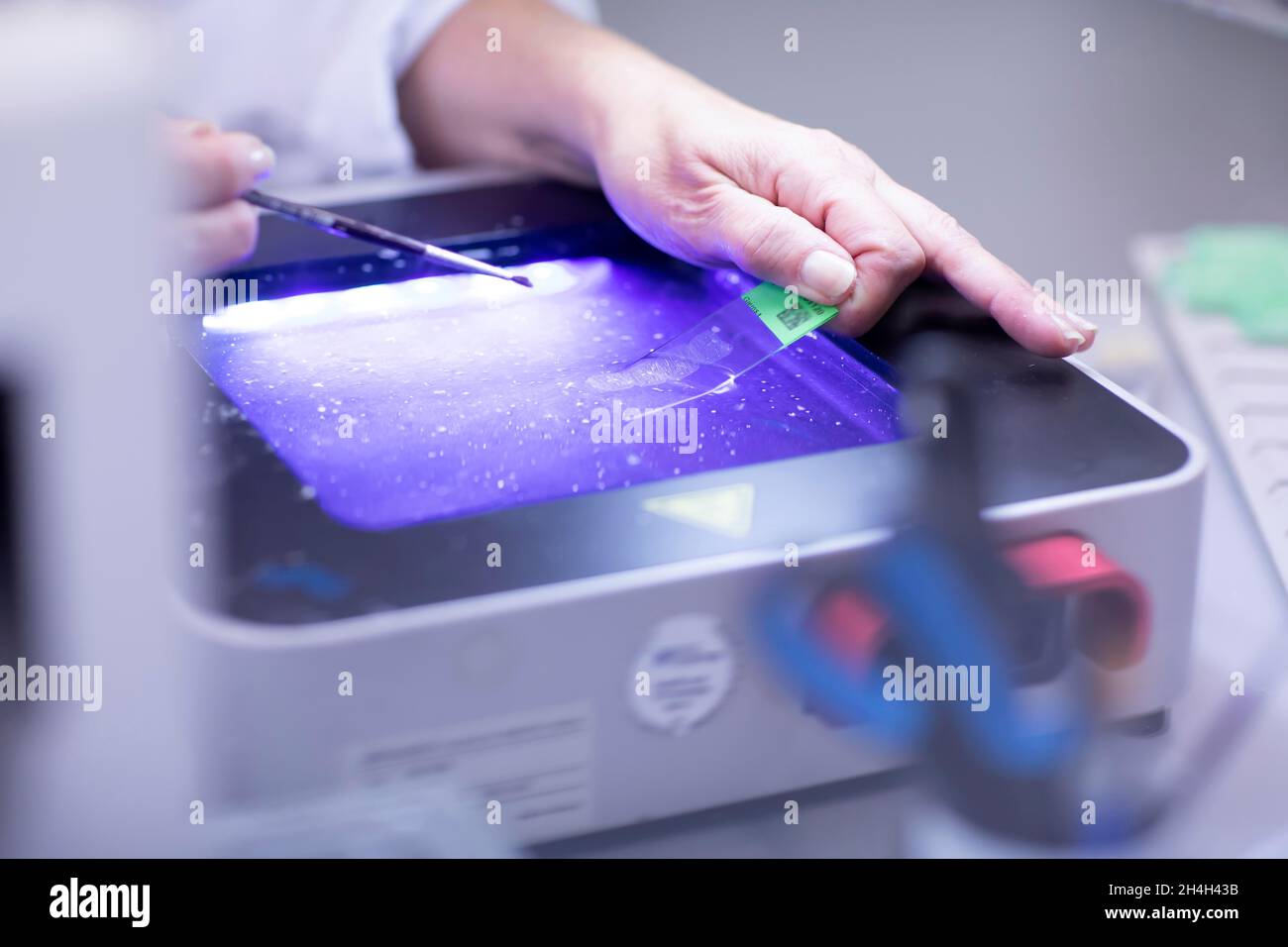 Processing of samples in a histology laboratory, Freiburg, Baden ...