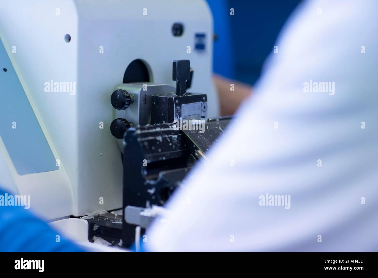 Processing of samples in a histology laboratory, Freiburg, Baden ...