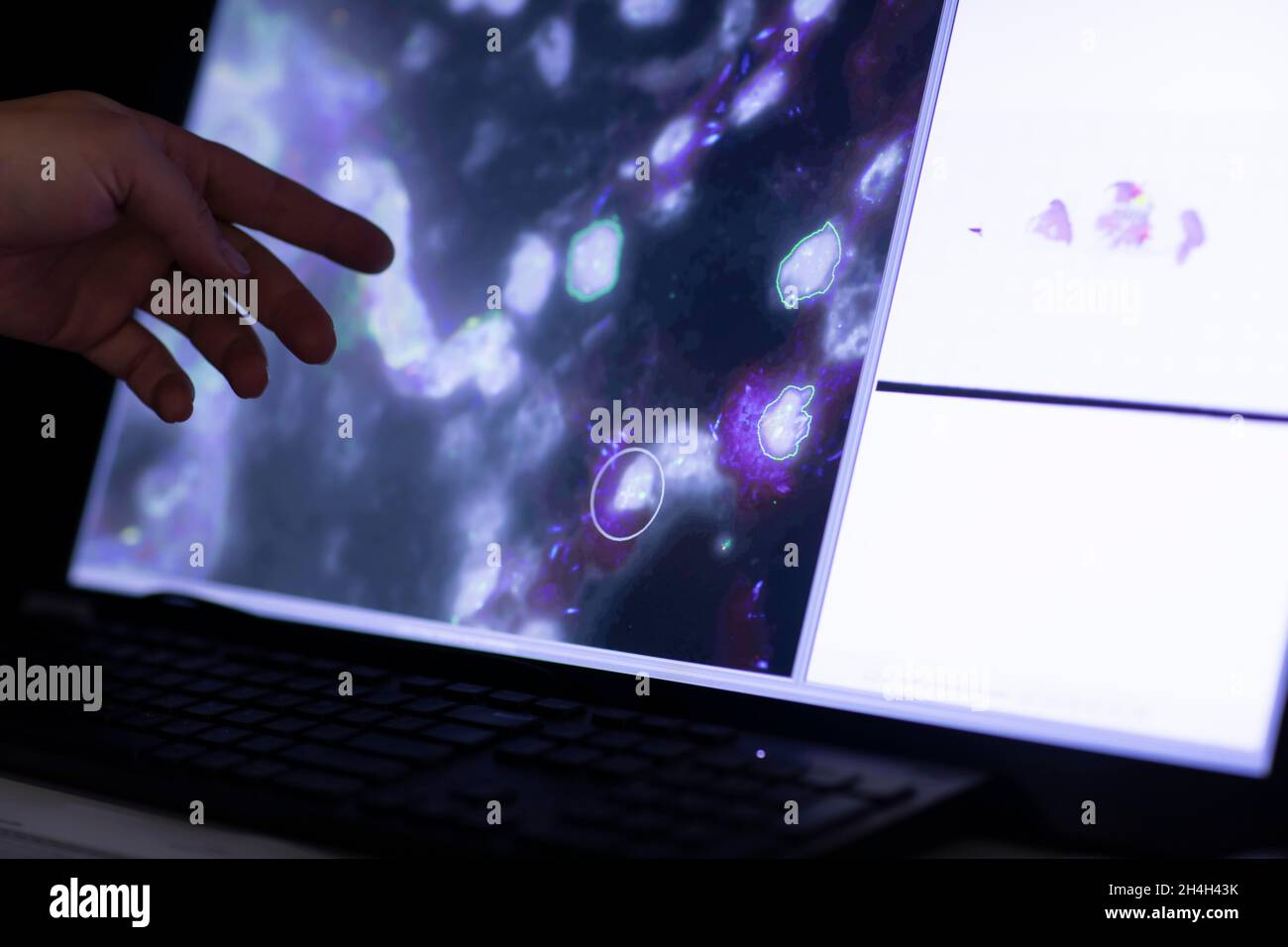 Sample evaluation hi-res stock photography and images - Alamy