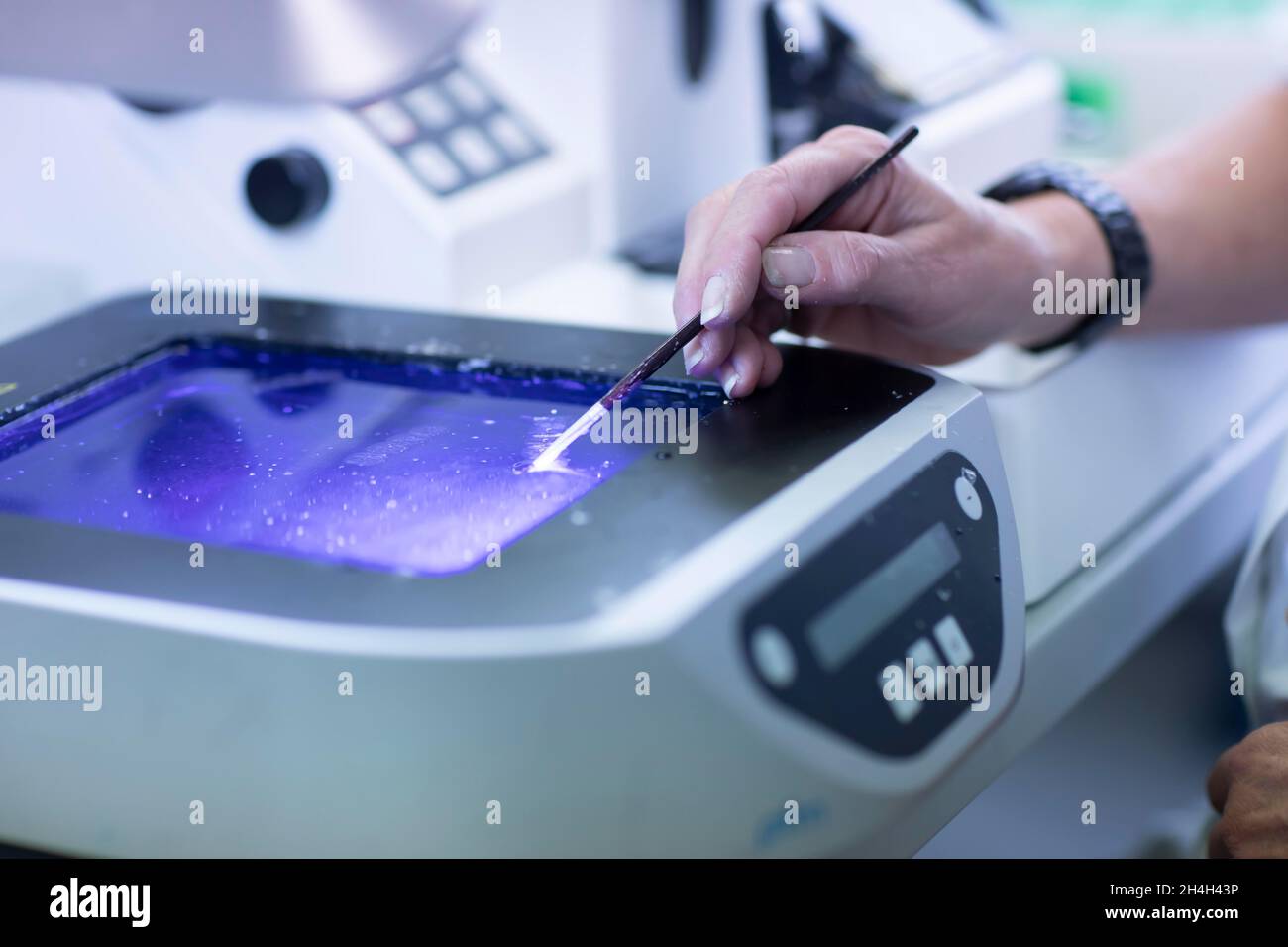 Processing of samples in a histology laboratory, Freiburg, Baden ...