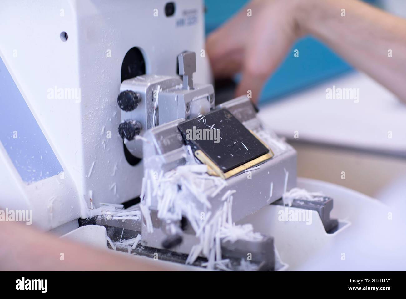 Sample processing with laboratory equipment in a histology laboratory ...