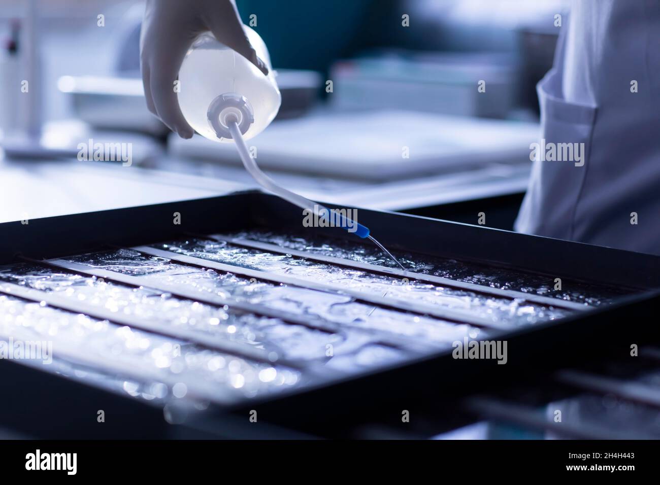 Sample processing with laboratory equipment in a histology laboratory ...