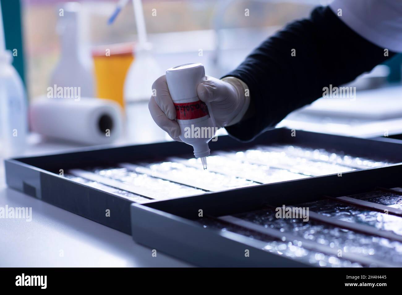 Sample processing with marker application in a histology laboratory ...