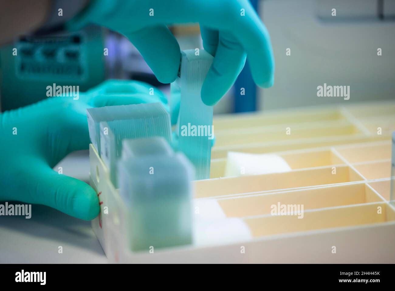 Processing of samples in a histology laboratory, Freiburg, Baden ...