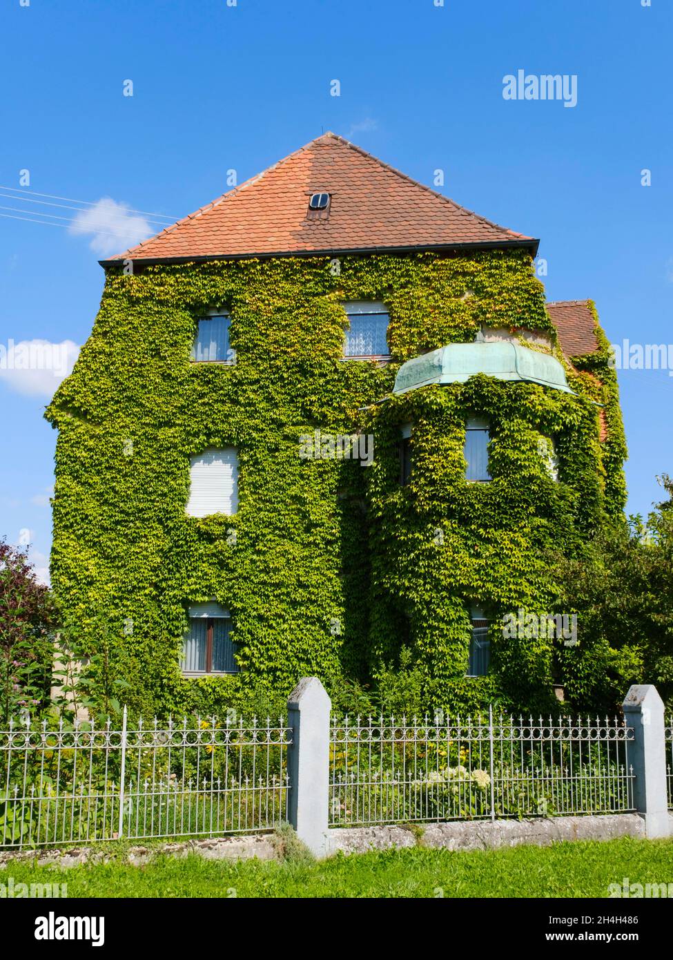 Ivy on building hi-res stock photography and images - Alamy