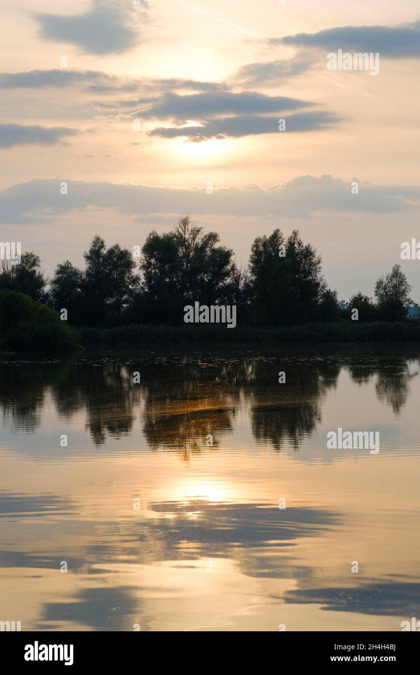 Evening atmosphere at the Altmuehlsee, Altmuehltal, Franconian Lake District, Franconia, Bavaria ...