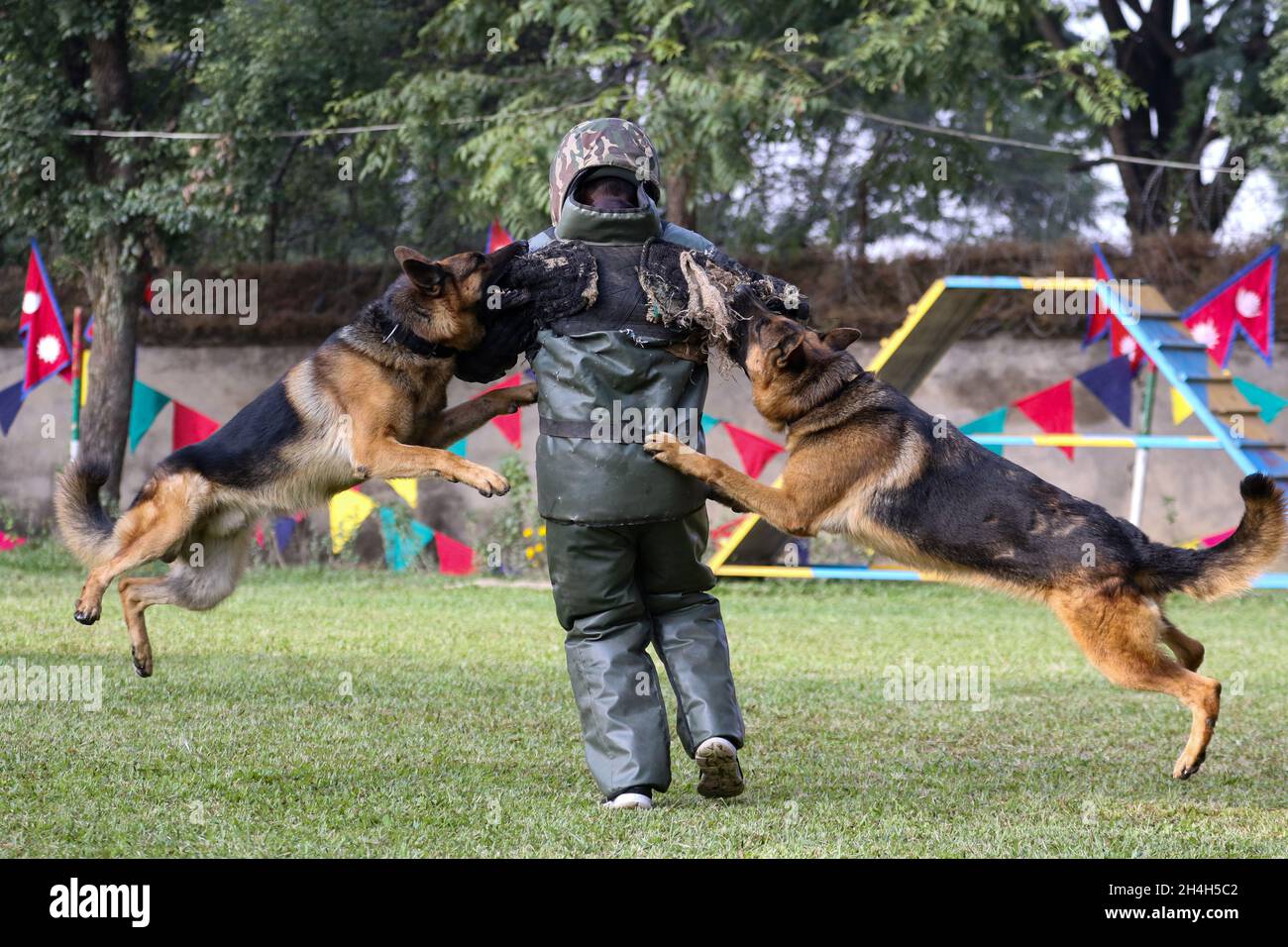 Kathmandu, NE, Nepal. 3rd Nov, 2021. A sniffer dog demonstrates its ...