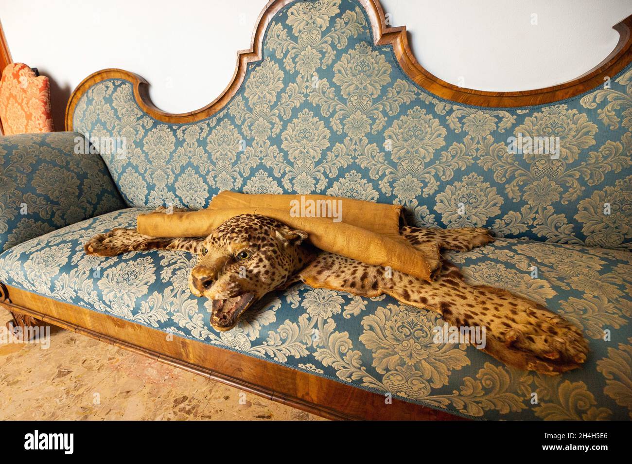 The skin of a dead Leopard lying on the sofa Stock Photo - Alamy