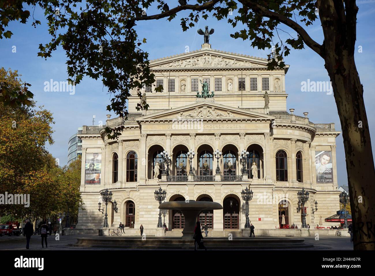 Old Opera House, Opera Square, Plane Tree, Frankfurt, Hesse, Germany ...