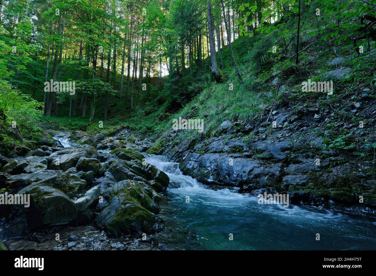 Reichenbach geography hi-res stock photography and images - Alamy