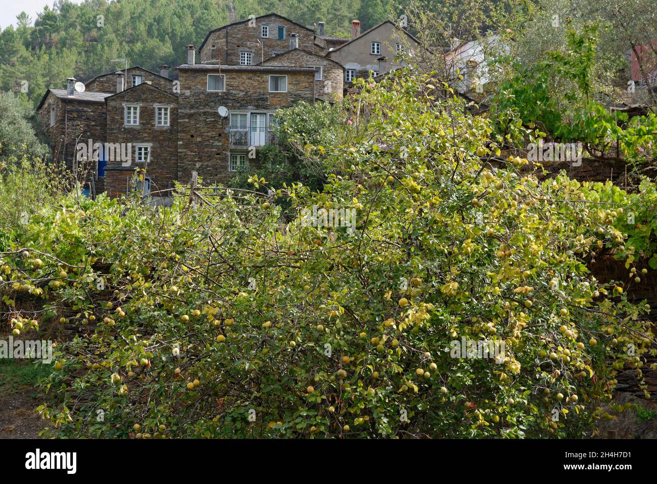 Slate Village Piadao, Serra da Estrela, Regiao do Centro, Portugal ...