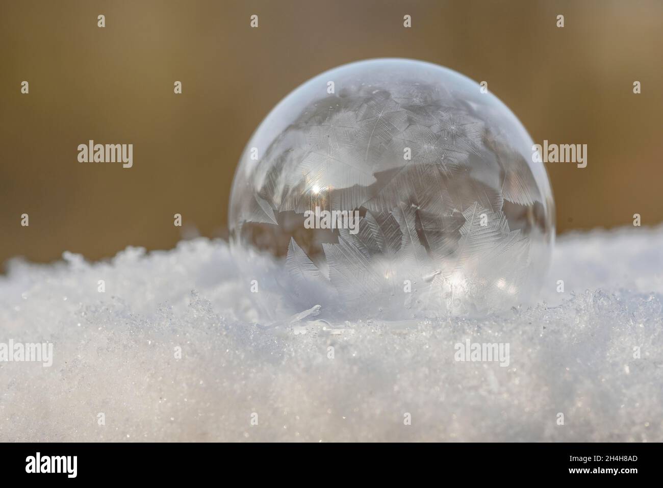 Germany bubble hi-res stock photography and images - Alamy