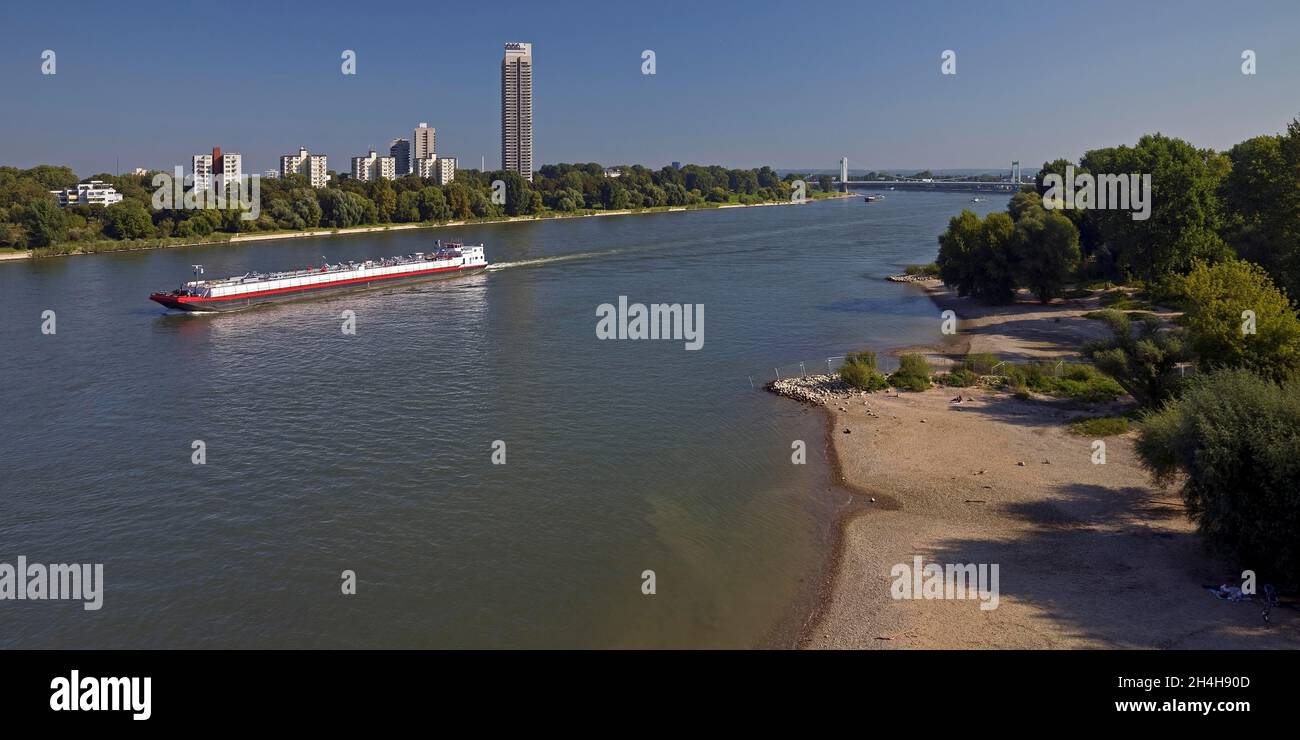 Elevated view of the Rhine with a cargo ship, Cologne, Rhineland, North Rhine-Westphalia ...