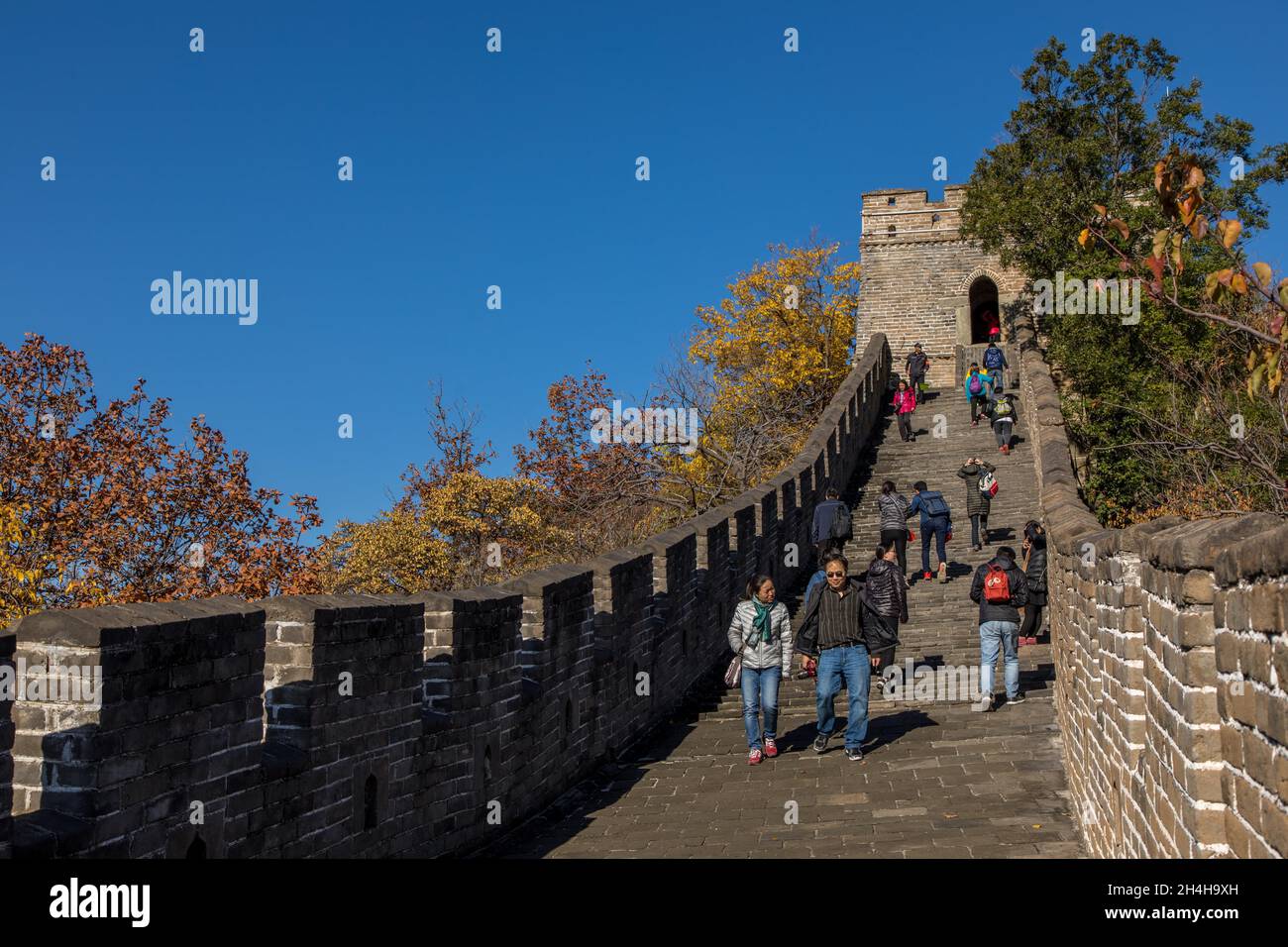 Great Wall of China, Mutianyu, Beijing Shi, China Stock Photo - Alamy