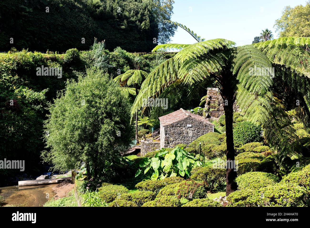 Traditional stone house in a lush valley full of tropical vegetation in ...