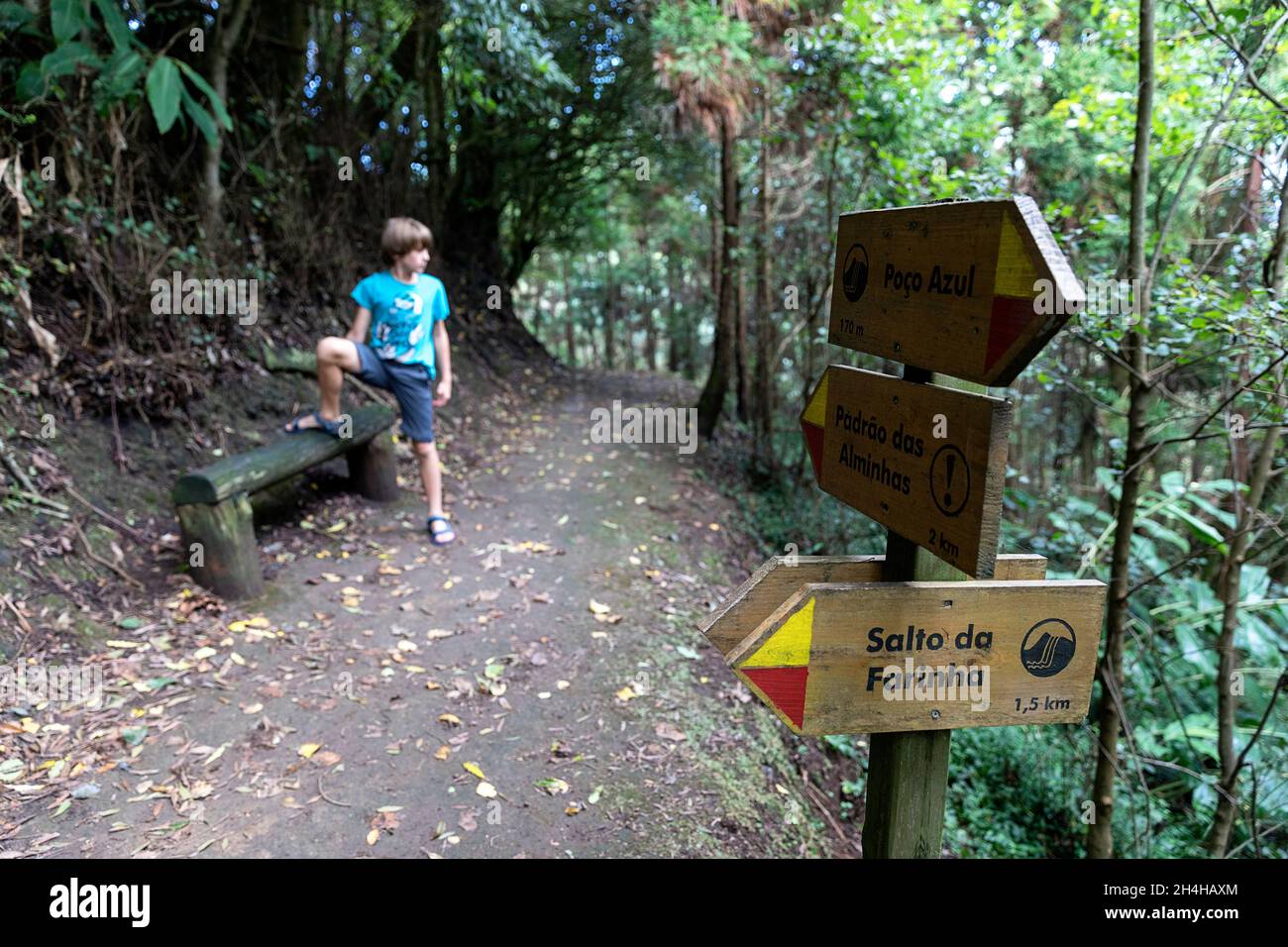 Boy on a hiking trail to Poco Azul waterfall on Sao Miguel island in ...