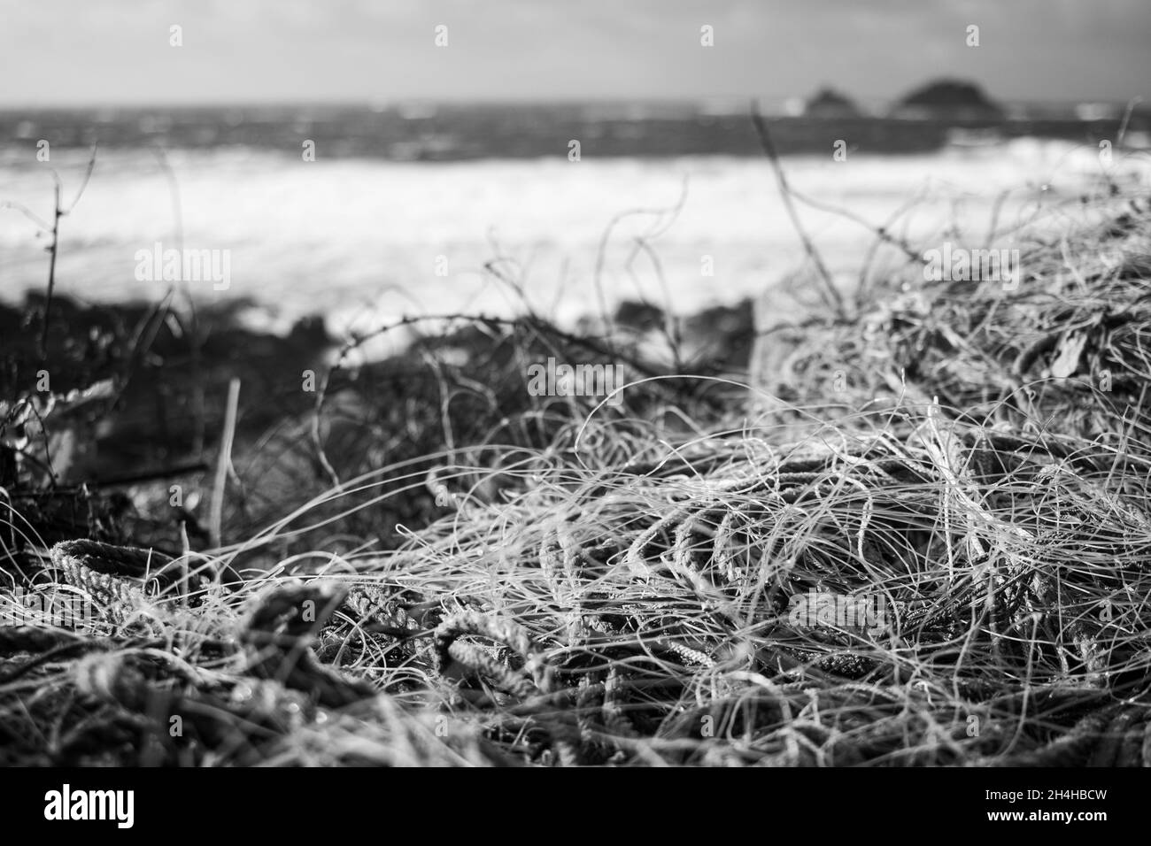 Maritime line cornwall Black and White Stock Photos & Images - Alamy